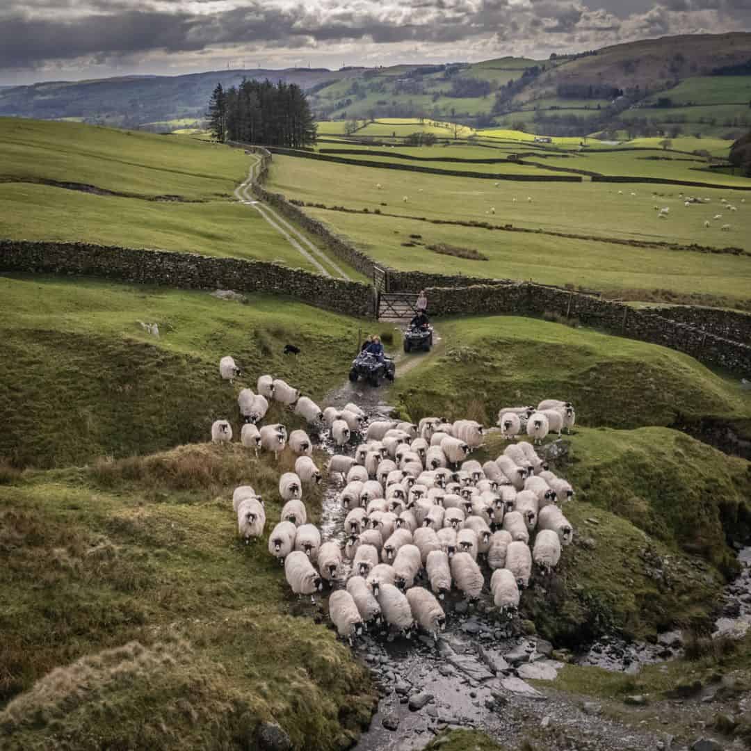 Galleries - Forty Farms Exhibition - The Beacon Whitehaven