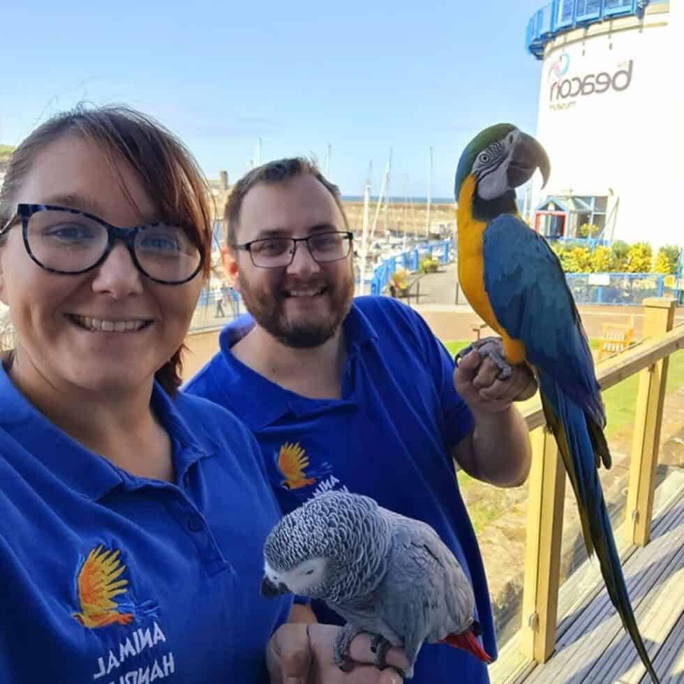 What's on - The Beacon Whitehaven | Indoor Things To Do | Family Friendly